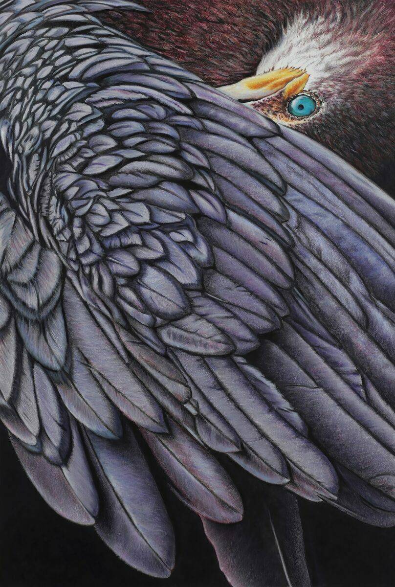 2024 Audubon Artists Annual Exhibition | Audubon Artists