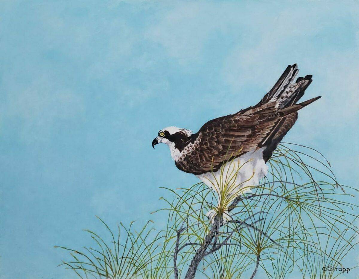 2024 Audubon Artists Annual Exhibition | Audubon Artists